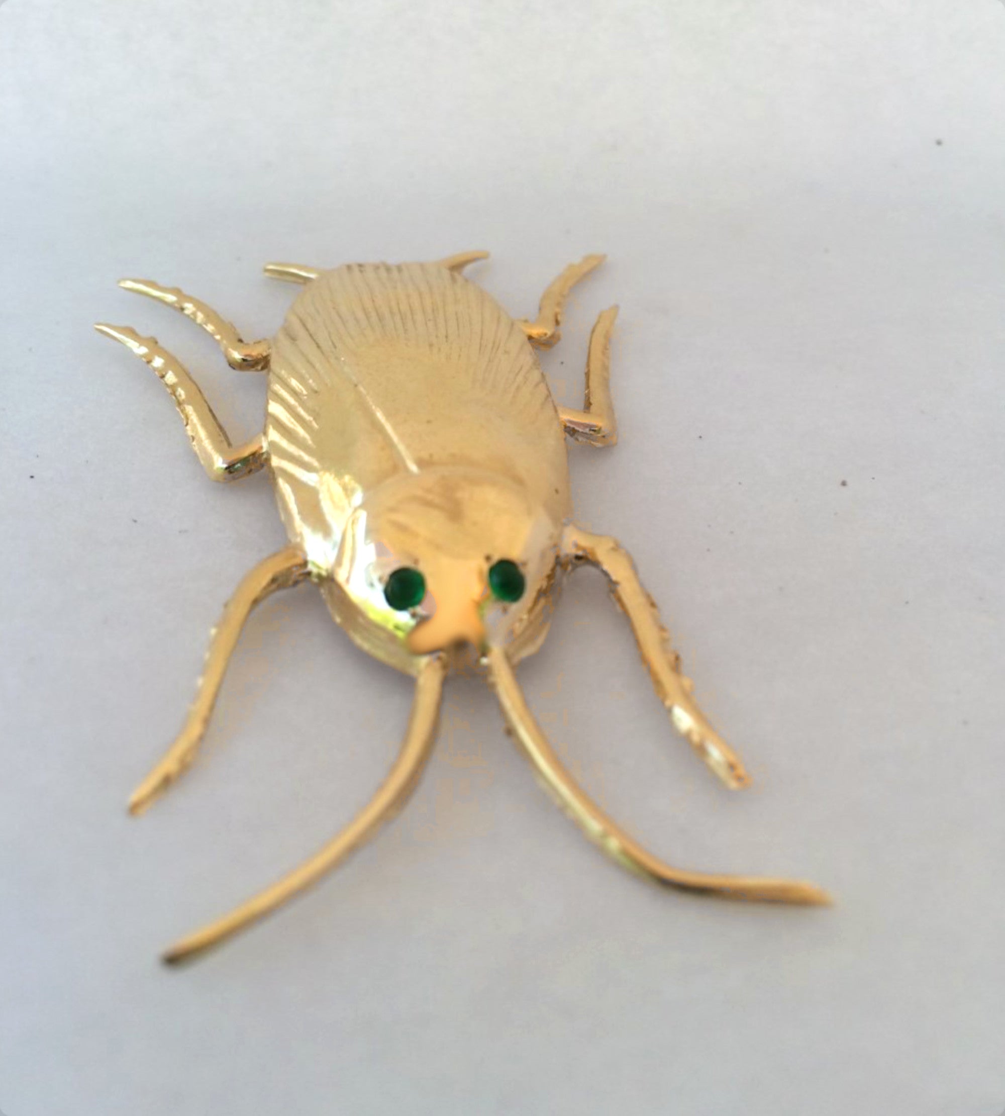 Why me? Roach Brooch? – ChefJewelry